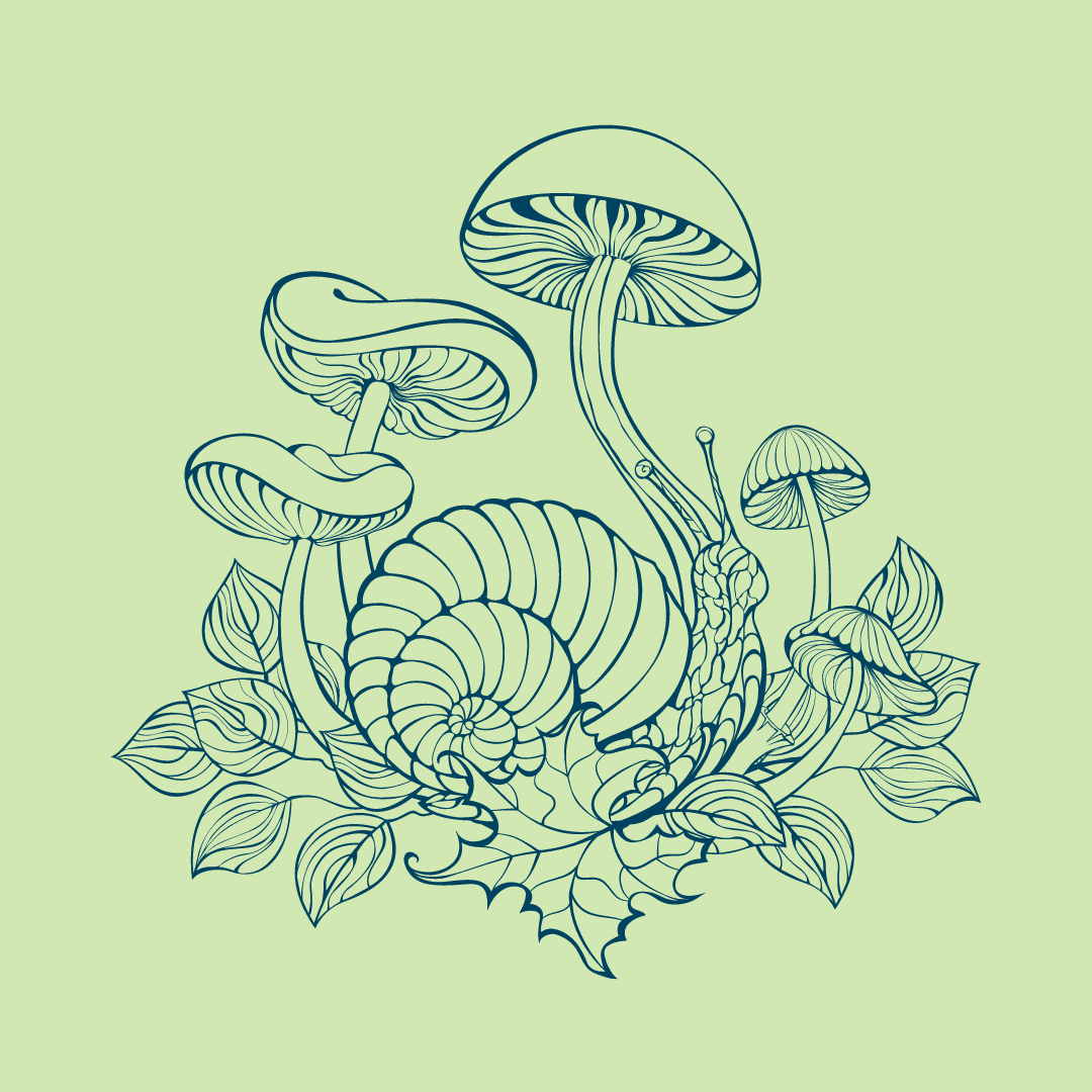 Three lessons nonprofits can learn about networks from nature - Ontario ...